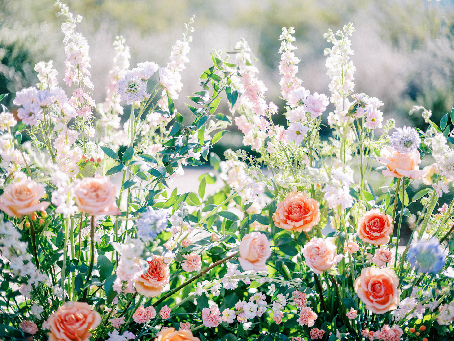 Whimsical Winter El Chorro Wedding - arraydesignaz.com